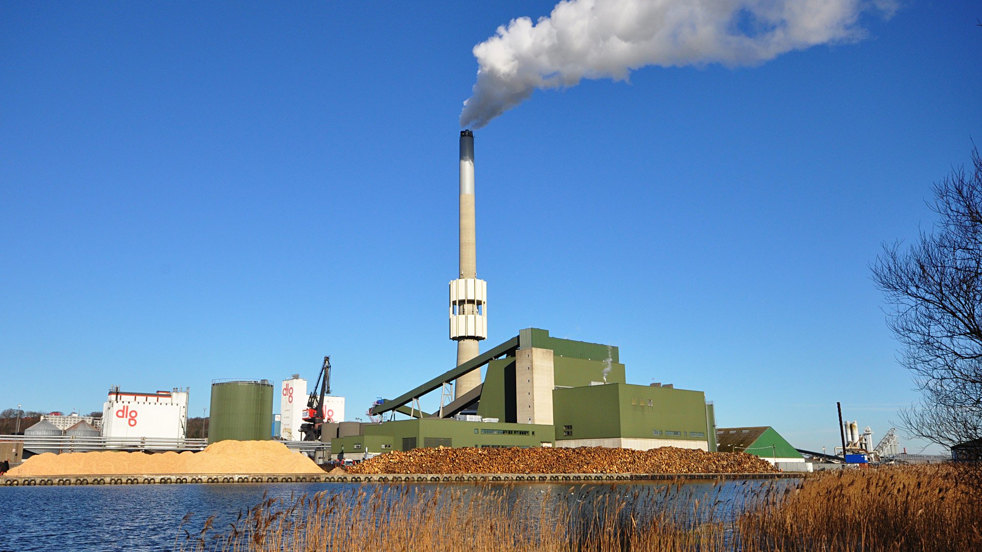 From coal to biomass: Clean district heating, fuel flexibility and ...
